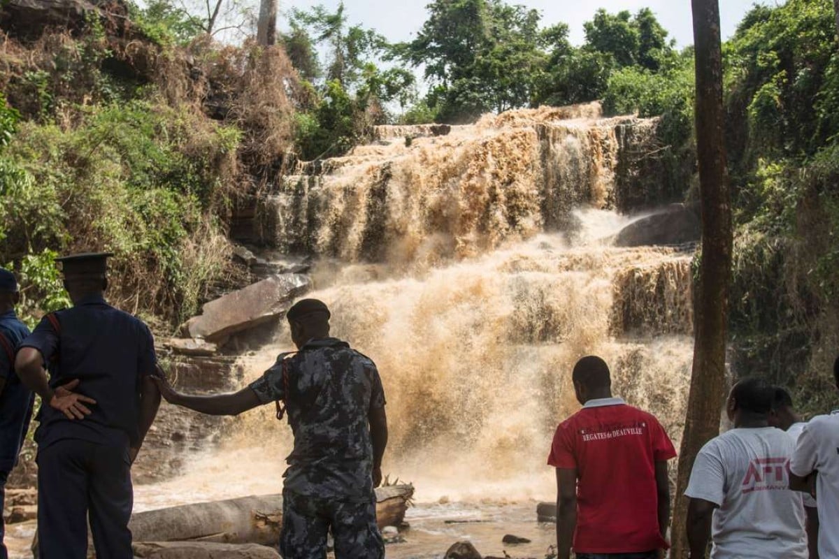 Freak accident kills 20, when giant tree falls on swimmers in Ghana ...