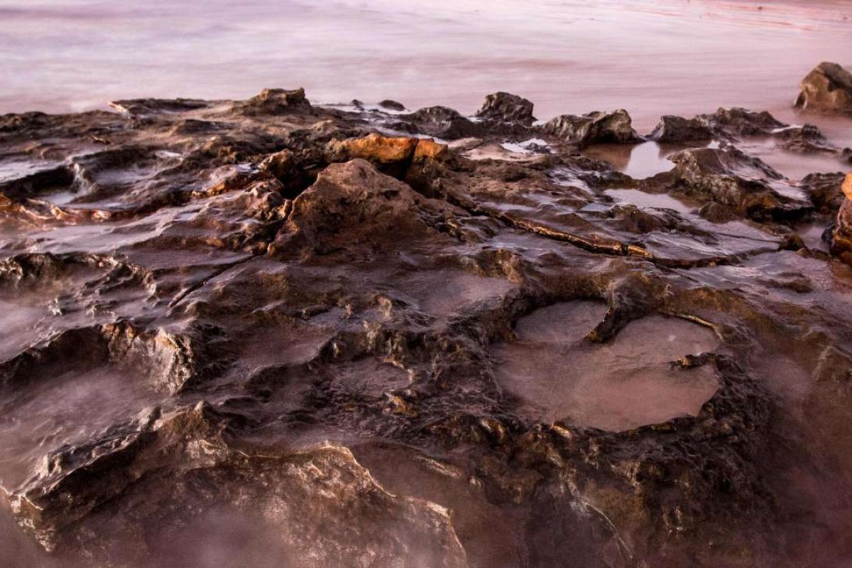 ‘Australia’s own Jurassic Park’: palaeontologists unearth 21 different ...