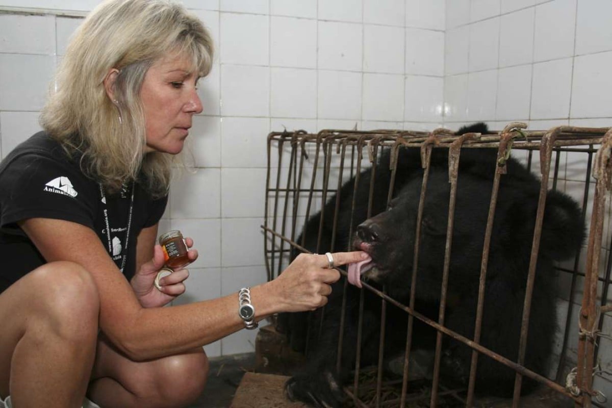 Hong Kong bile bear campaigner Jill Robinson’s story told on film ...
