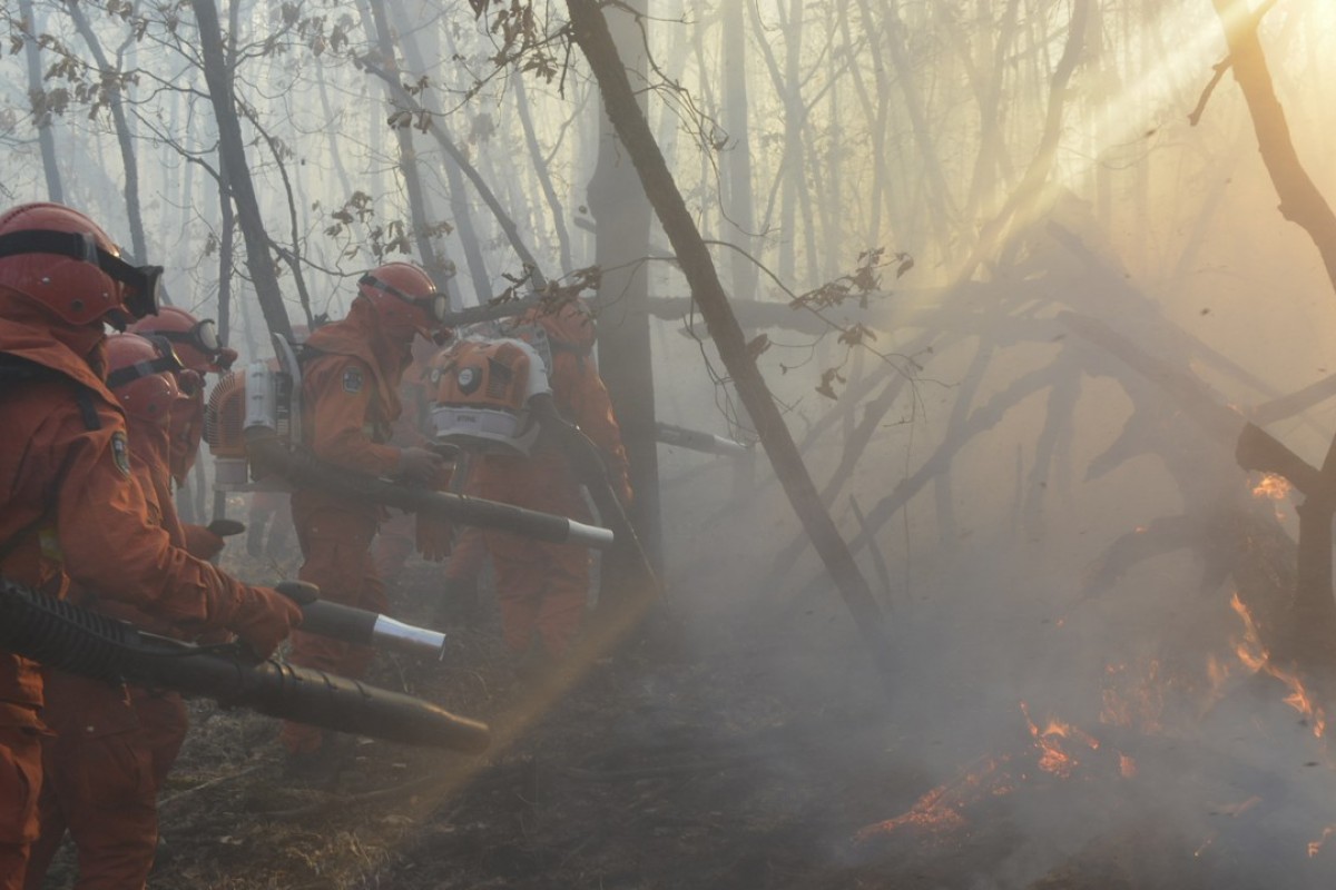Thousands tackling huge forest fire in northern China | South China ...