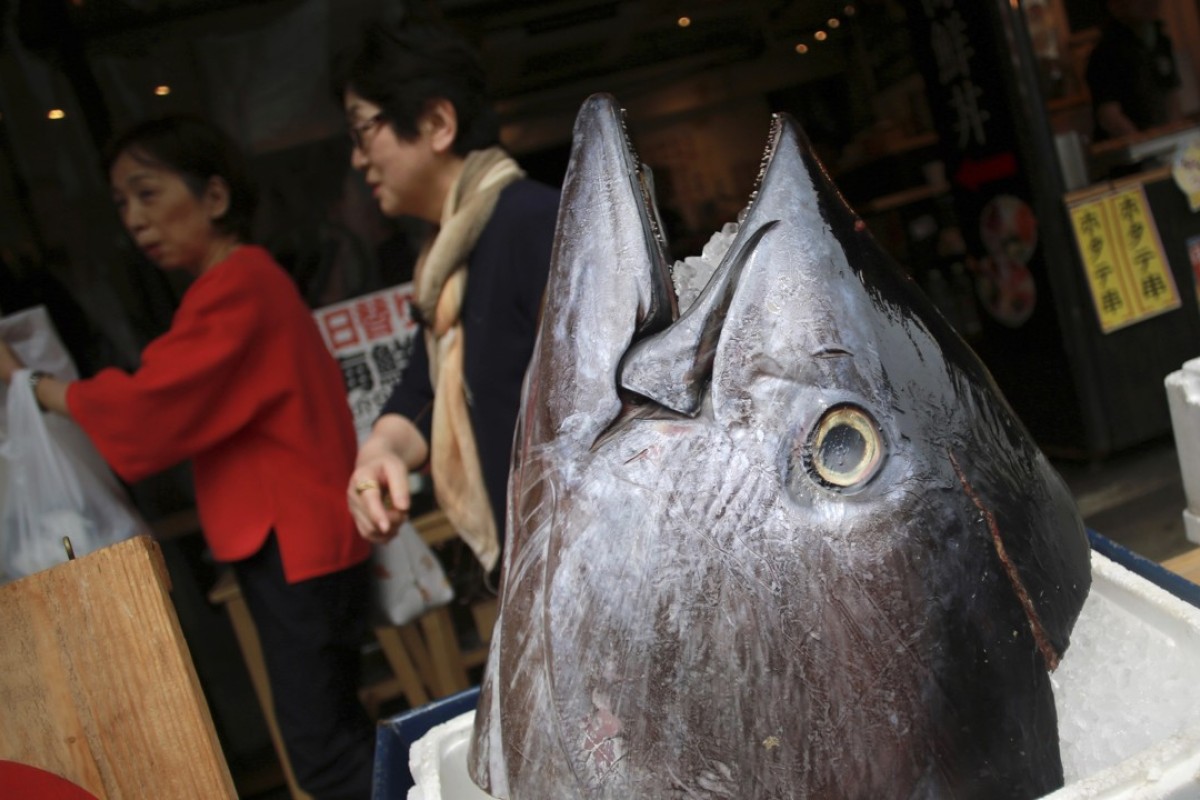 Makers of tinned tuna brands join fight against illegal fishing | South ...