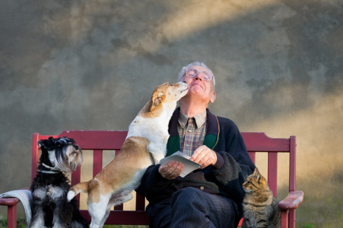 Why doctors should prescribe a dog to keep old people active | South ... Why doctors should prescribe a dog to keep old people active | South ...