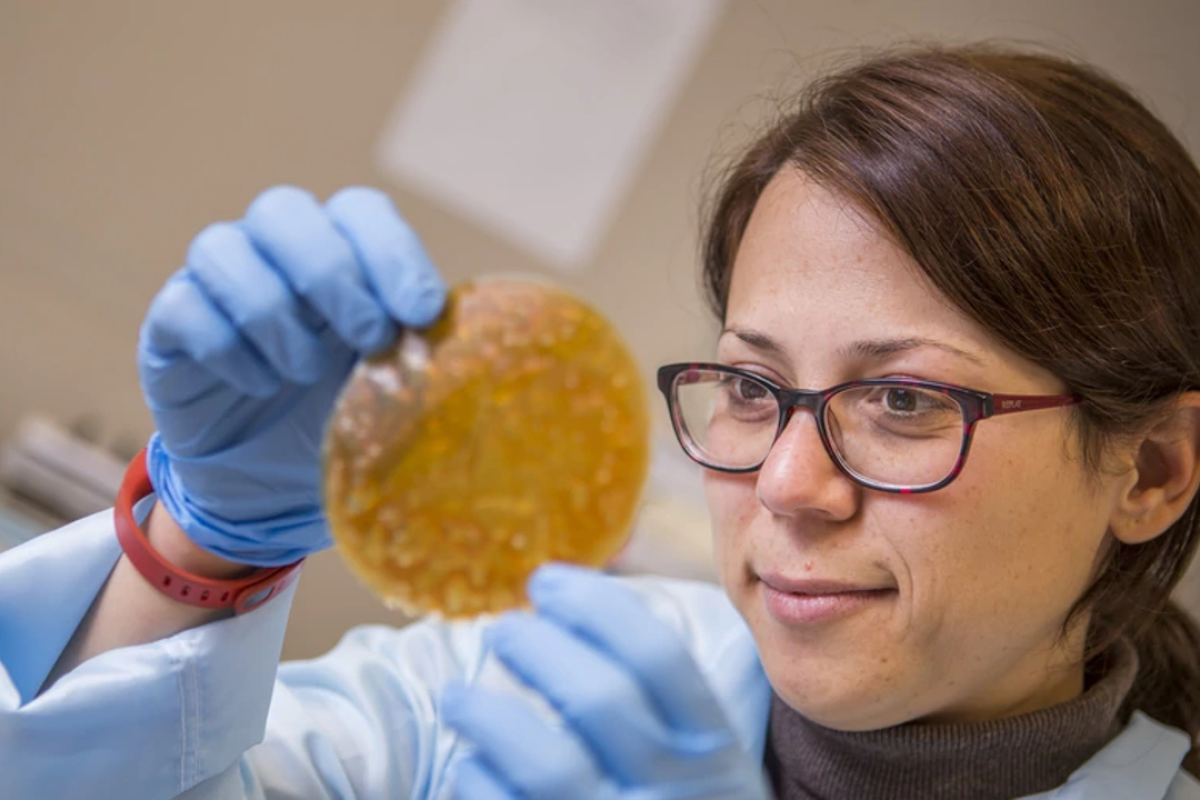 New Zealand researcher using milk protein to help regrow human muscle ...