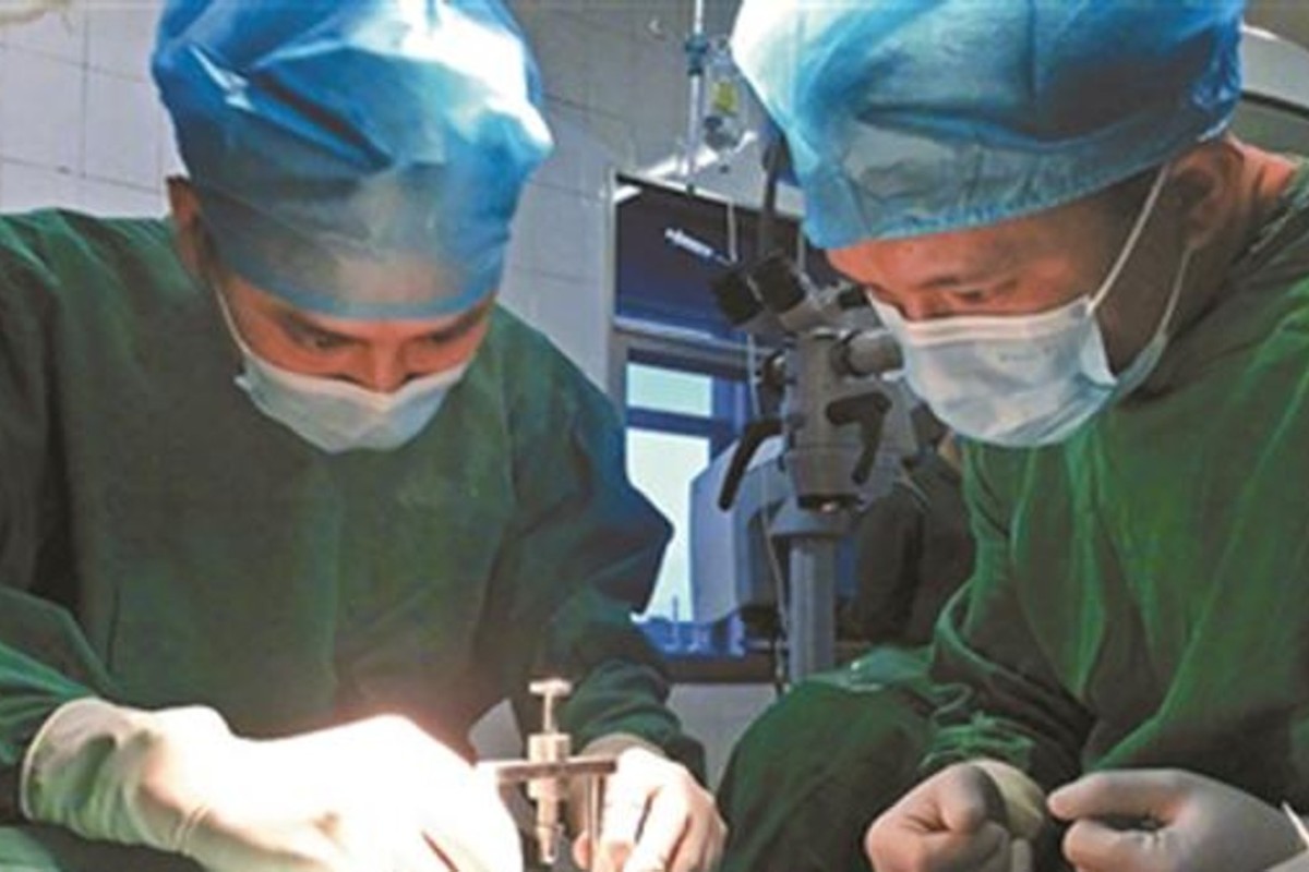 Sight in Chinese man’s eye restored after pig cornea transplant | South ...