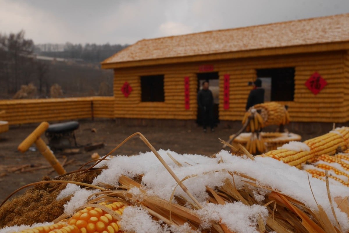 Chinese villager creates farm buildings out of cobs of corn | South ...