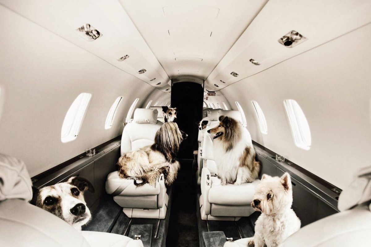 Six Christmas requests wealthy clients asked for on their luxury ...