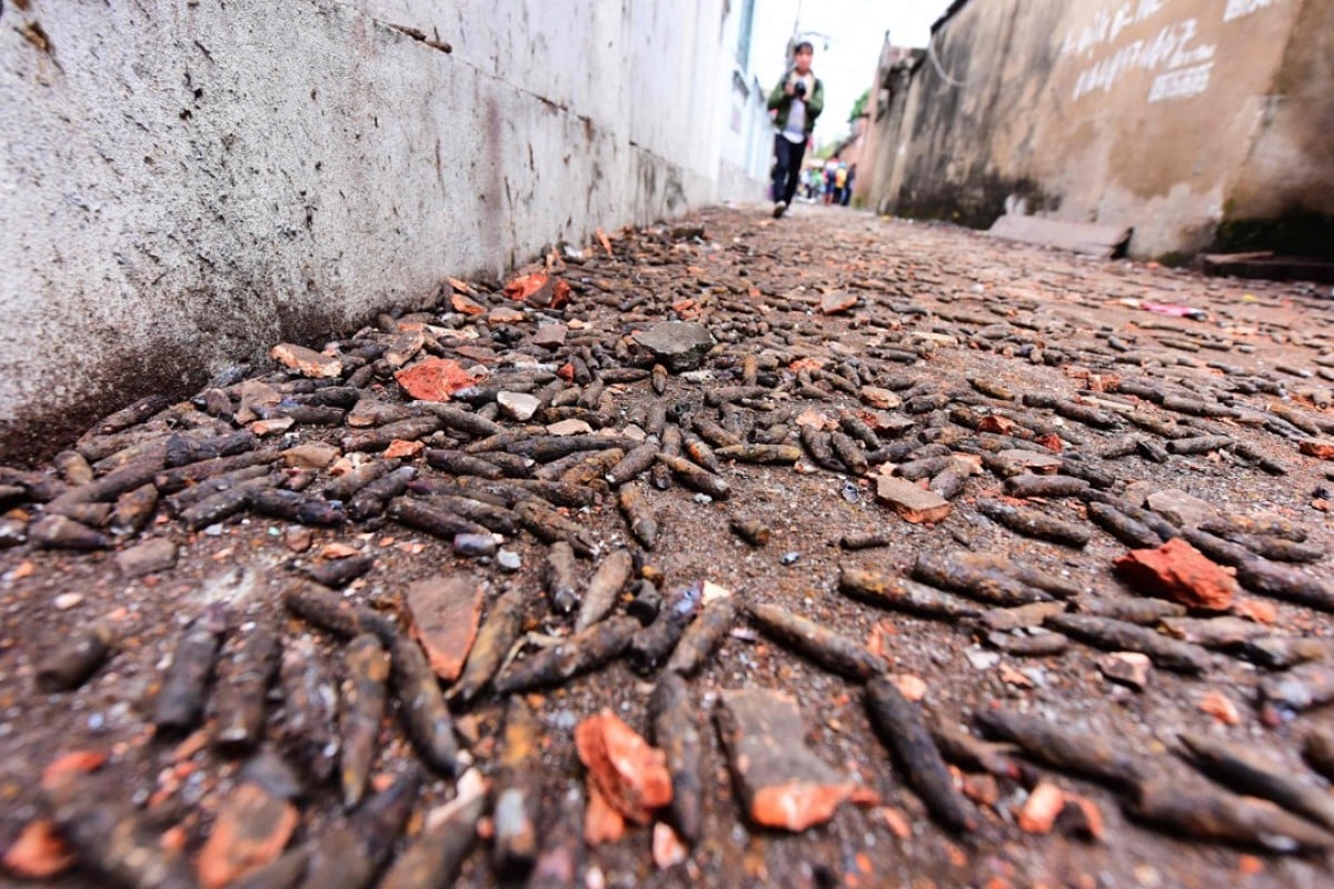 Tonnes of old ammunition explode in Vietnam scrapyard, killing two ...