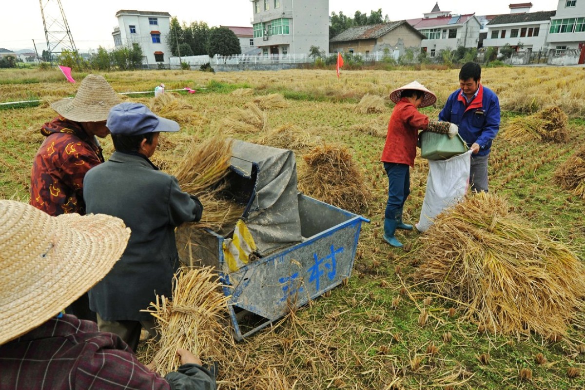 China vows to modernise massive farm sector, amid growing wealth gap ...