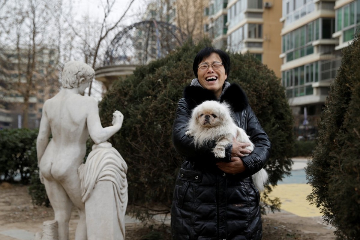 As the Year of the Dog begins, why are Pekingese so rare in Beijing ...
