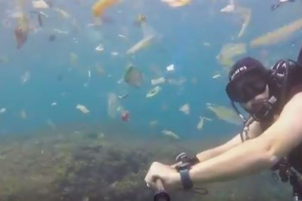 Diver films shocking underwater video of plastic garbage wasteland in ...