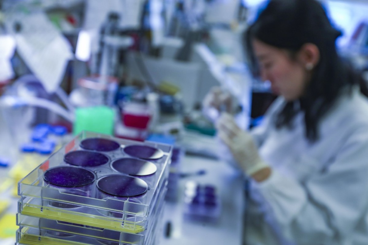 Why Hong Kong should celebrate the breakthrough in science funding from the mainland | South ...