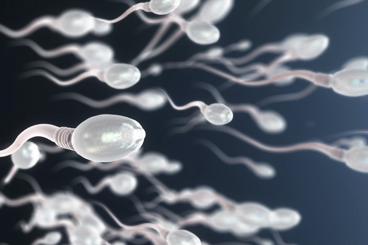 Sperm quality gets big boost from eating nuts, scientific trial shows ...