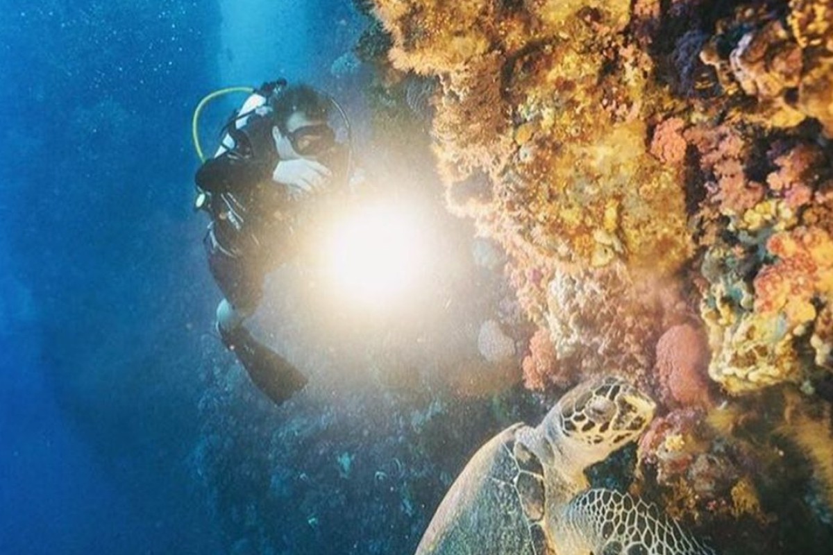 7 top diving sites in Asia that offer underwater thrills of a lifetime ...