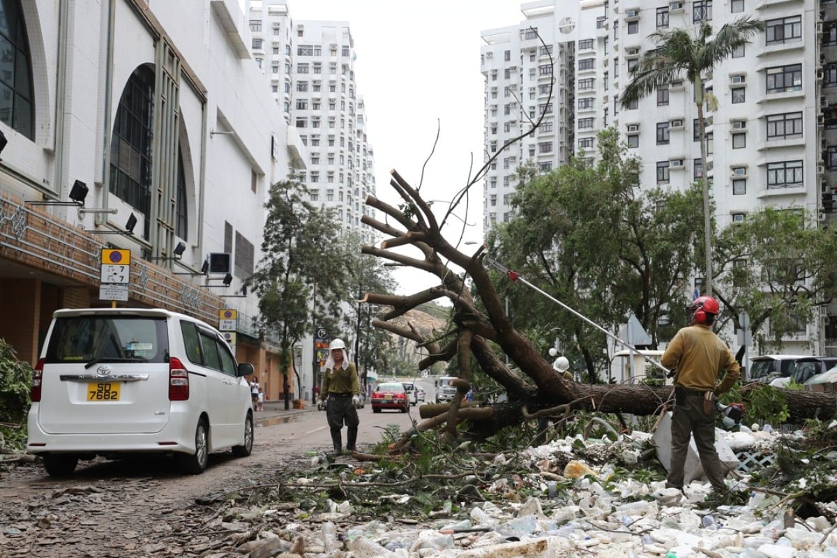 Typhoon damage to Hong Kong trees: did long-term neglect play a role ...