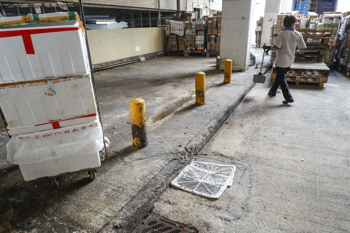 Hong Kong health chief needs to act after rodent infection | South ...