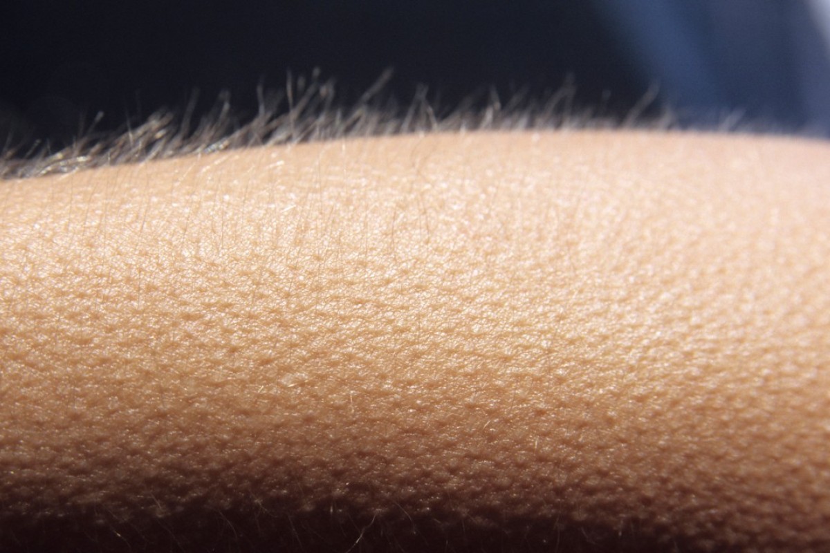 Halloween Goosebumps Shivers And ‘skin Orgasms And Why We Love To