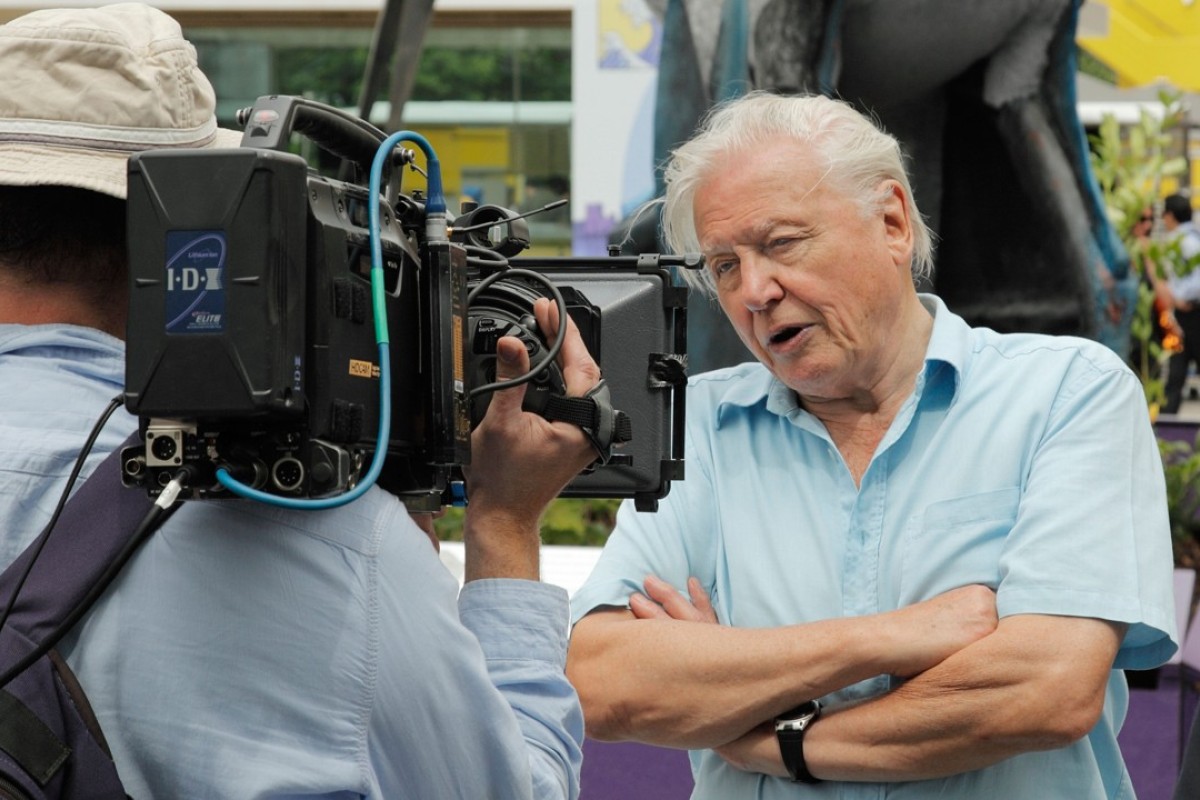 Sex, violence, and family dynamics of animals in David Attenborough’s ...