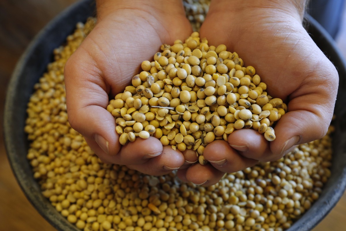 Trade war truce: China’s Sinograin confirms US soybean purchase | South ...