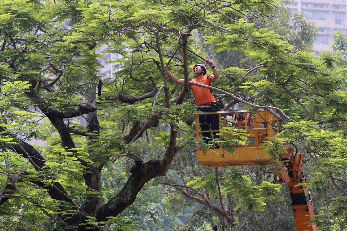 Fresh conflict of interest accusations aimed at Hong Kong firm trusted ...