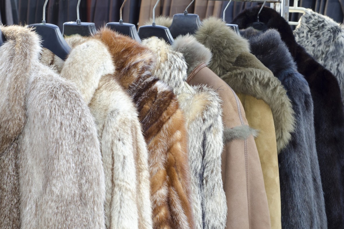 If the label says it’s real fur, can you be sure it’s not fake? | South ...