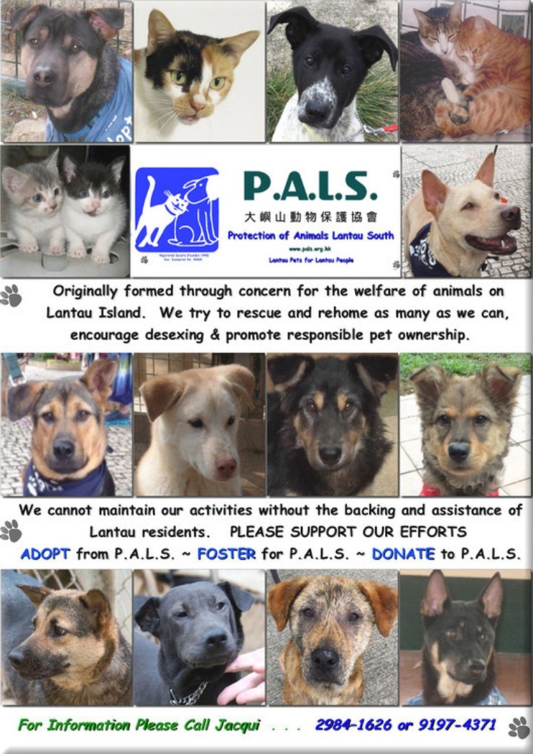 A Brief Introduction of Protection of Animals Lantau South (PALS) / 大嶼山 ...