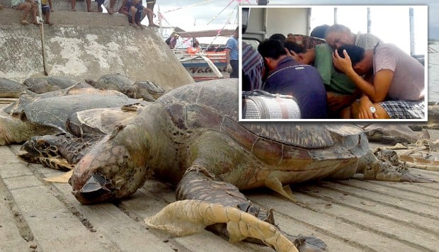 Philippines to charge nine Chinese fishermen for ‘poaching’ in South ...