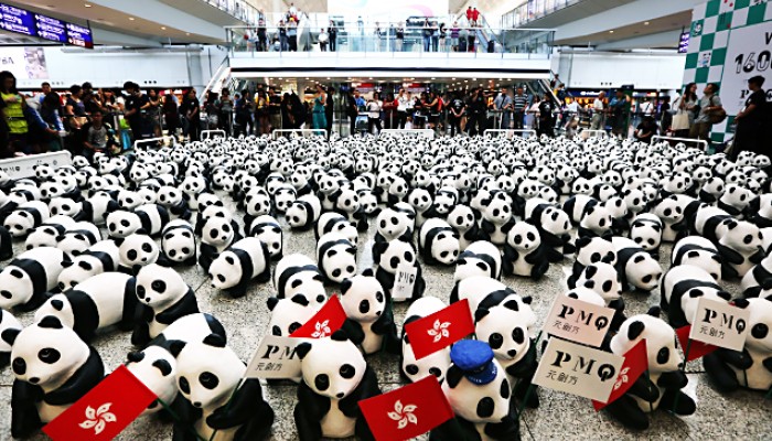 Pop-up panda, June 17 | South China Morning Post