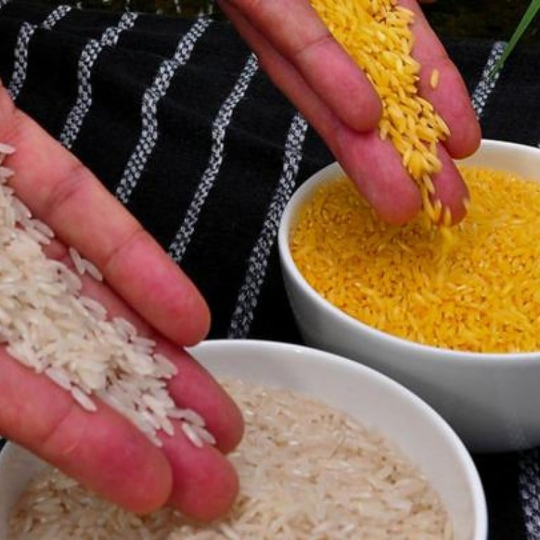 Golden rice can end world hunger | South China Morning Post