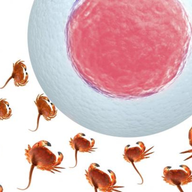 Truc: kick up a roe | South China Morning Post