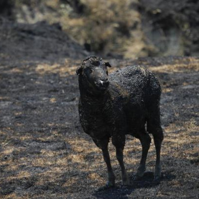 Temporary drop in temperatures brings relief for Australian fire crews ...