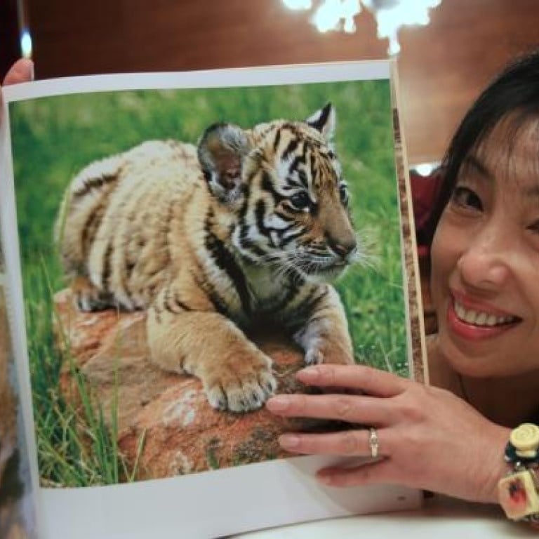 Jackie Chan-backed tiger charity faces uncertain future after bitter ...