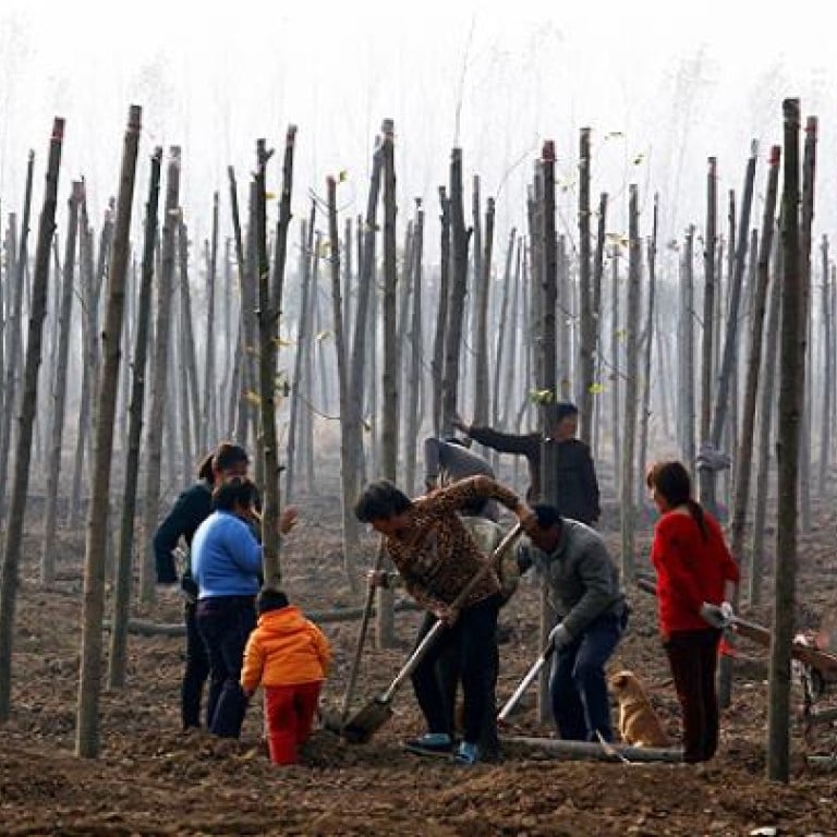 Report on mainland China's soil pollution a 'state secret' | South ...