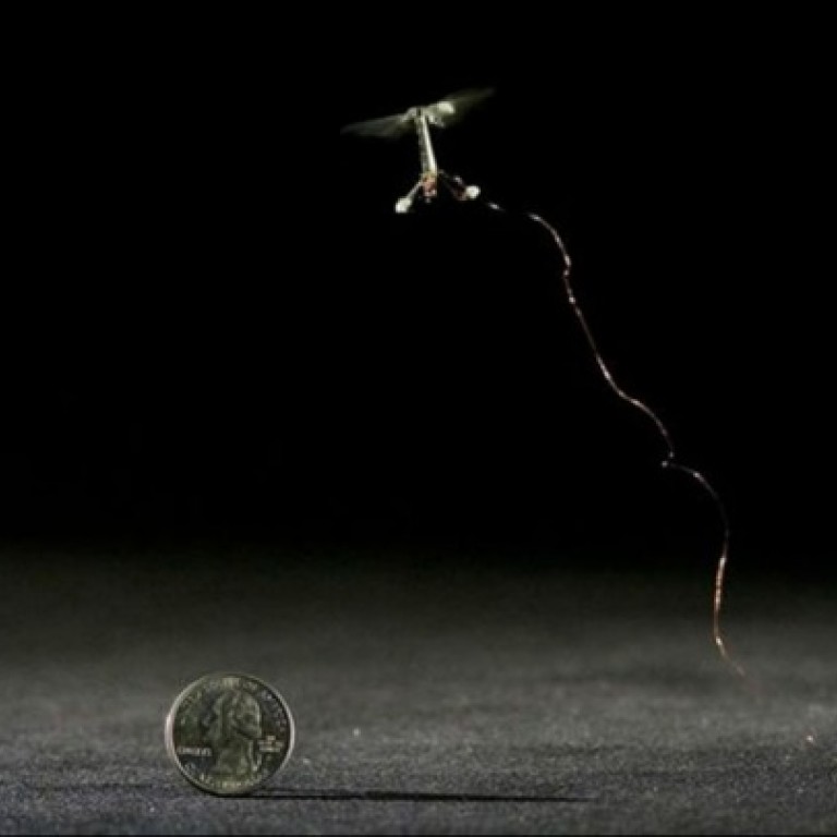 World's smallest airborne robot off to a flying start | South China ...