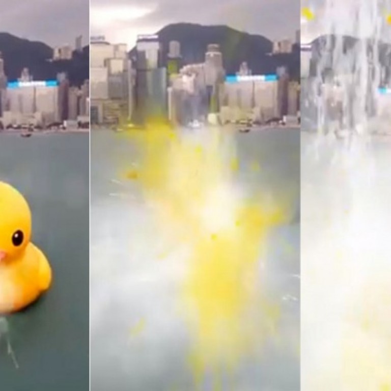 Inflatable duck causes social media stir in Hong Kong | South China ...
