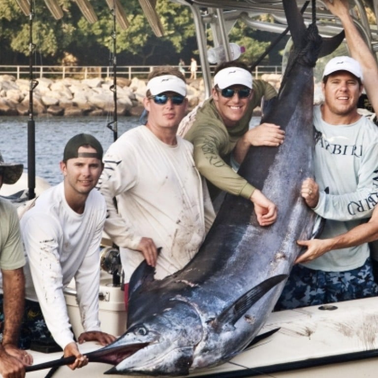 Hong Kong anglers reel in 226kg Pacific blue marlin in South China Sea ...