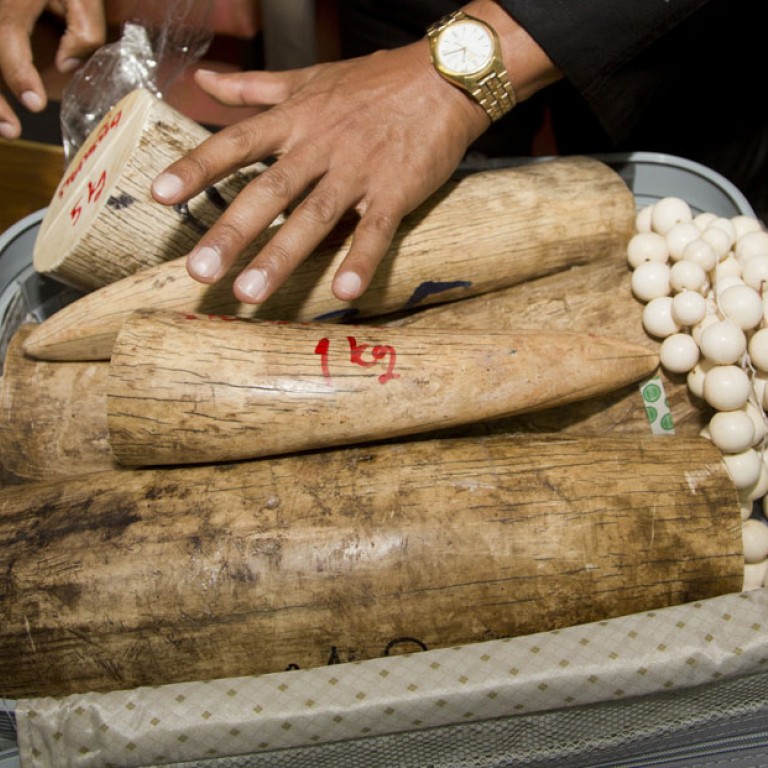 Targeting buyers of illegal ivory could hit trade where it hurts ...
