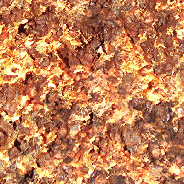 Australian researchers find money doesn’t grow on trees but gold leaf ...