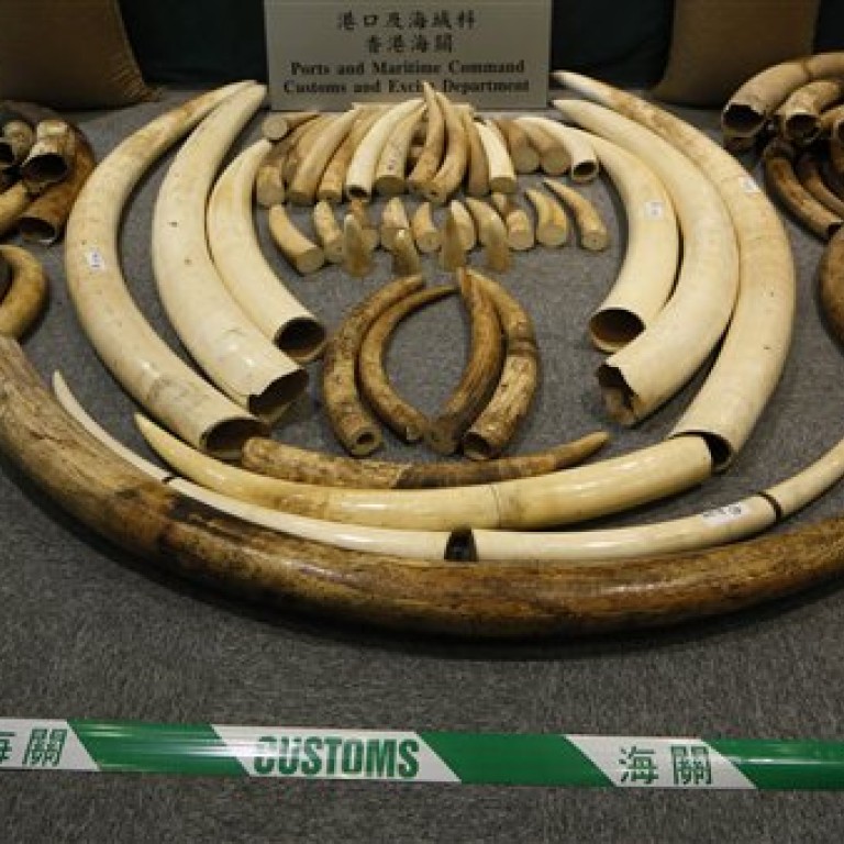 Ivory seizures swell hidden Hong Kong cache | South China Morning Post