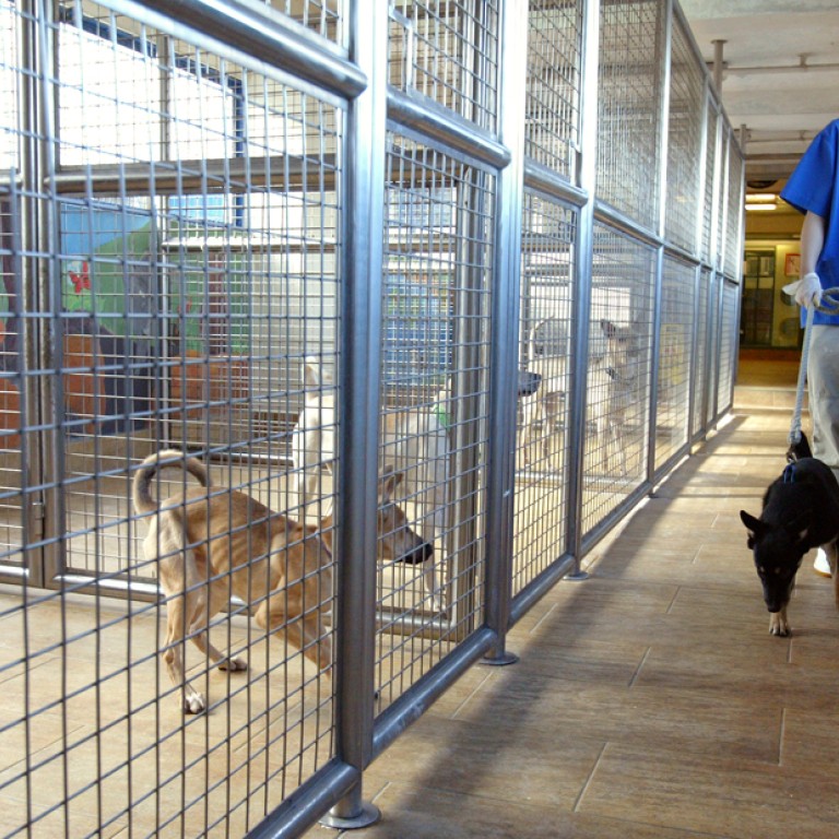 Animal rights activists slam SPCA charity for euthanising 5,000 animals ... Animal rights activists slam SPCA charity for euthanising 5,000 animals ...