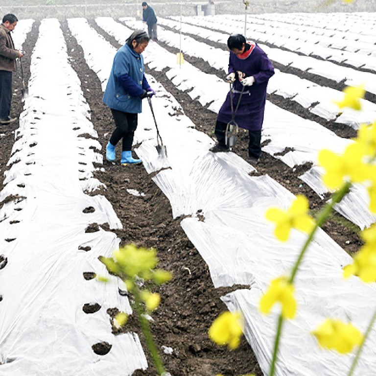 China to focus on family farms in drive to commercialise | South China ...