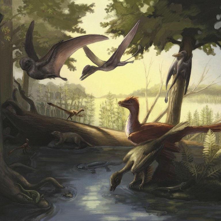 Jurassic Period fossils found in Liaoning province open door to past ...