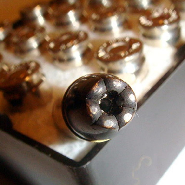 Oscar Pistorius trial told of deadly history of bullets that killed ...