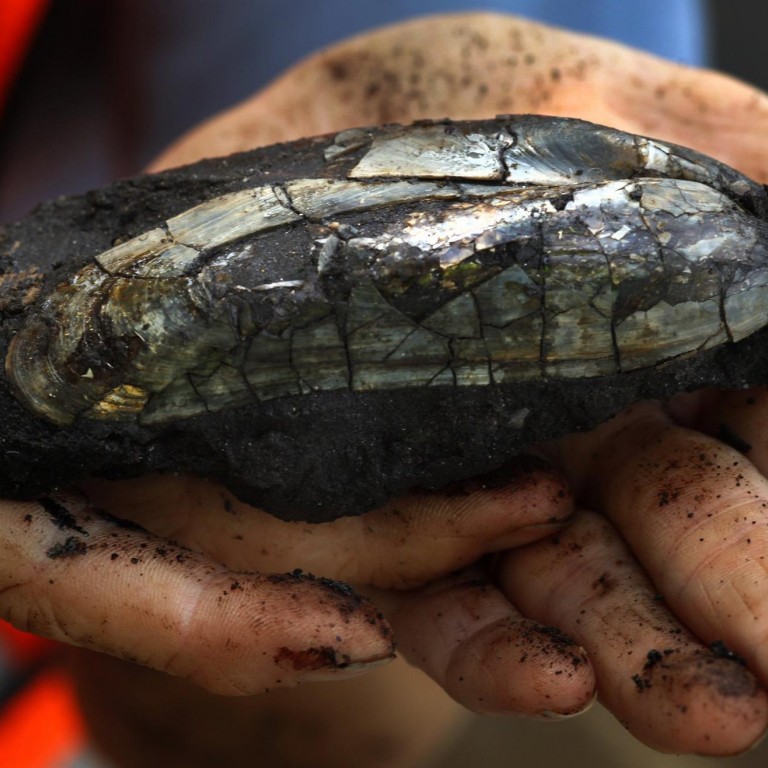 Work on LA subway line unearths ice-age fossils | South China Morning Post