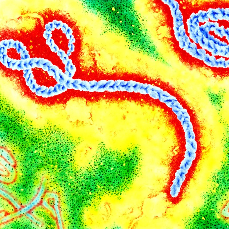 Scientists are closing in on drugs that may stop the deadly Ebola virus ...