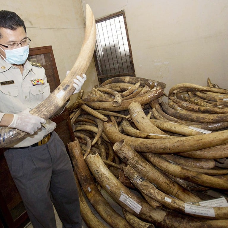 Thailand warned it faces international sanctions over illegal ivory ...