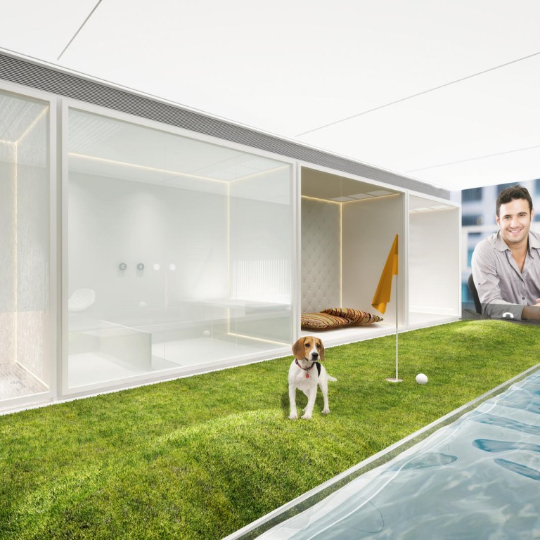 The ultimate luxury dog paradise for HK$15.5 million | South China ...
