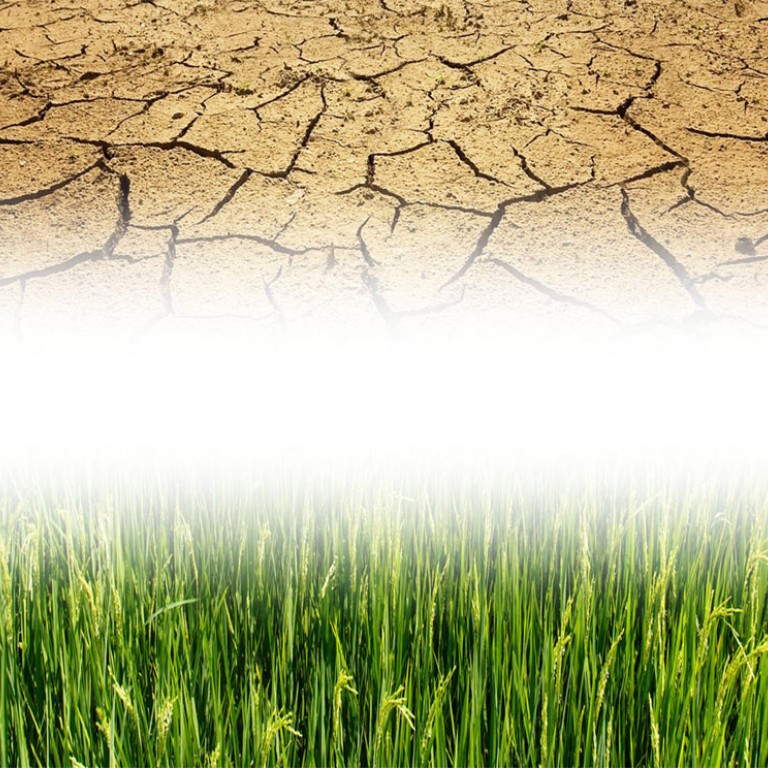 American academics seek to boost crop productivity to help poor farmers ...