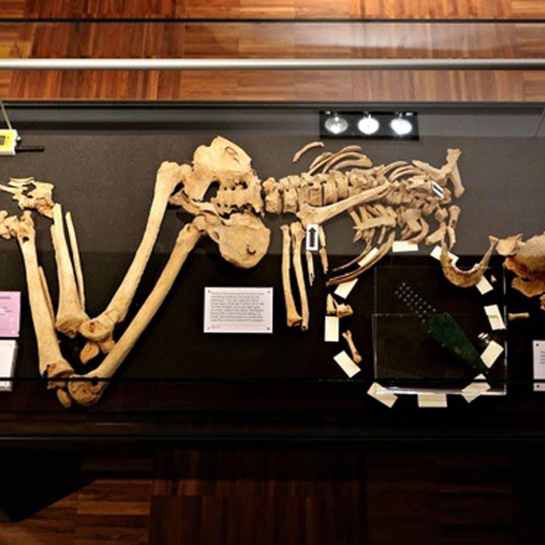 4,000-year-old dagger is oldest bronze object ever found in Britain ...