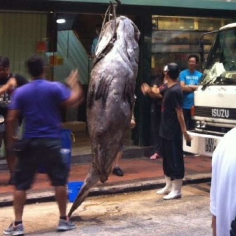 Rare fish species never before seen in Hong Kong waters are discovered ...