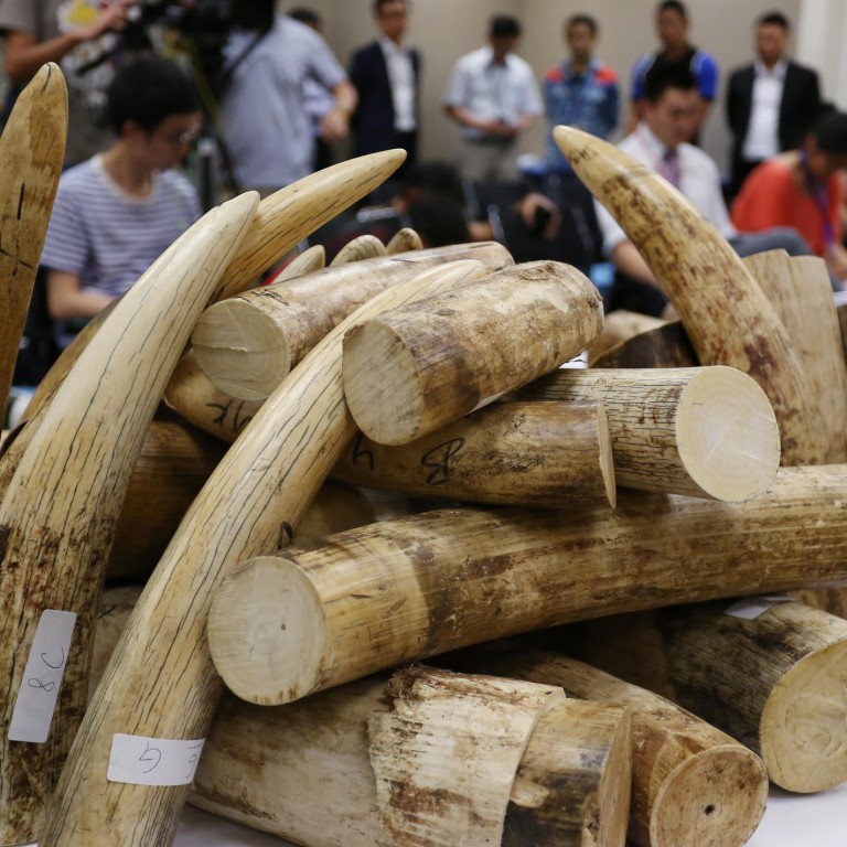 Lawmaker Elizabeth Quat pushes for complete ivory ban on mainland ...